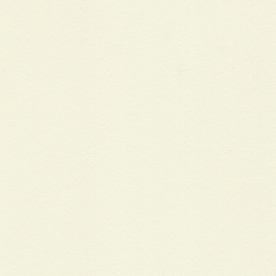 Natural White Wove Cover 25/Pk at PaperPresentation.com